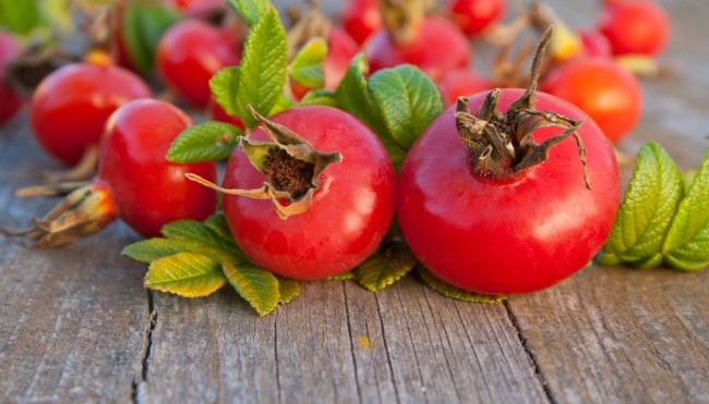 Die heilende Wirkung von Gewürzen und Pflanzen - Gesundheit ...