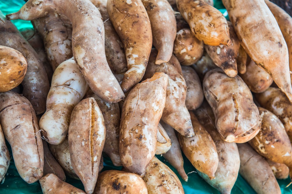 Yacón: The HEALTHY sugar alternative! - Superfood ...